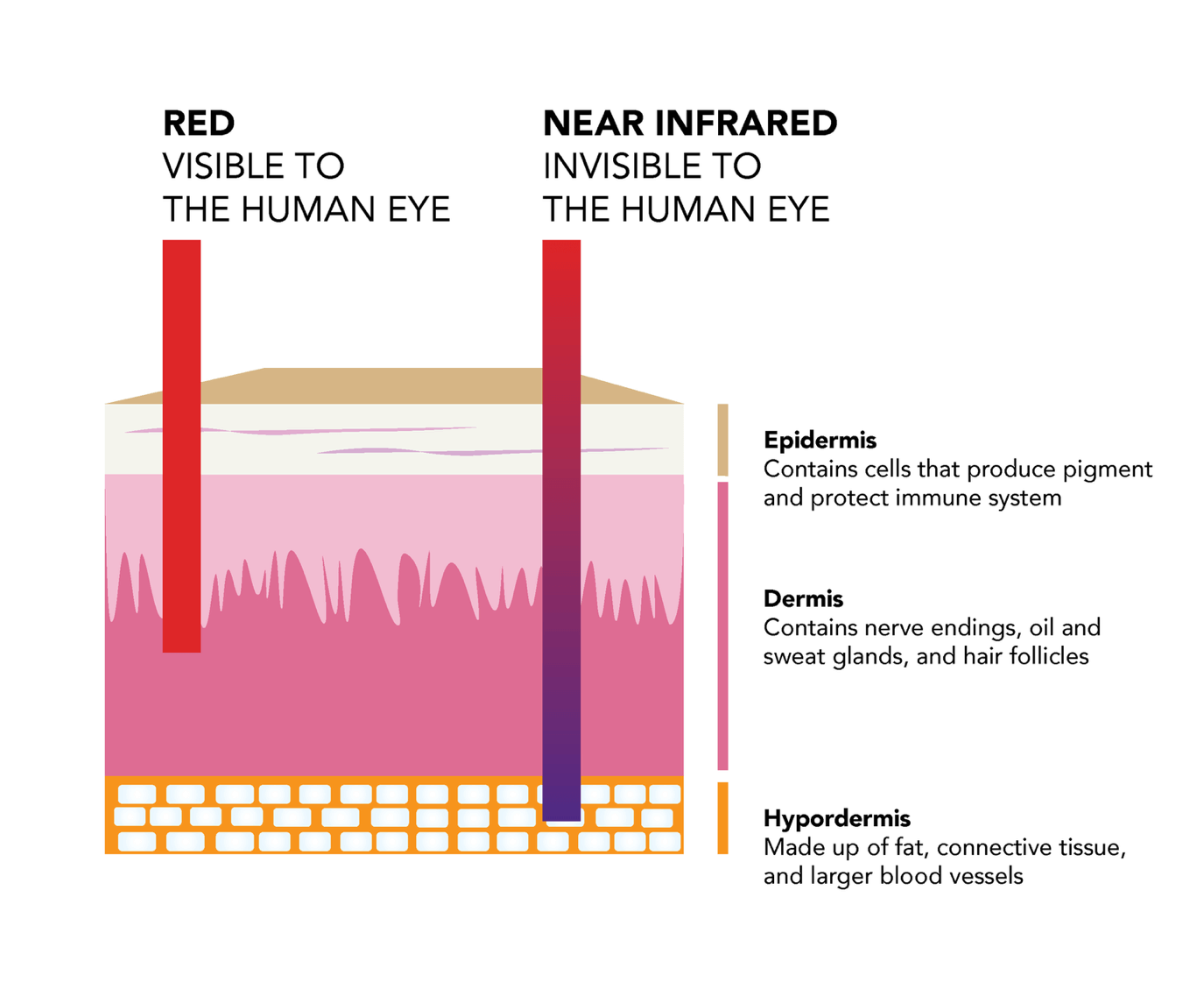 Red Light Therapy - Tringali Vibrant Health