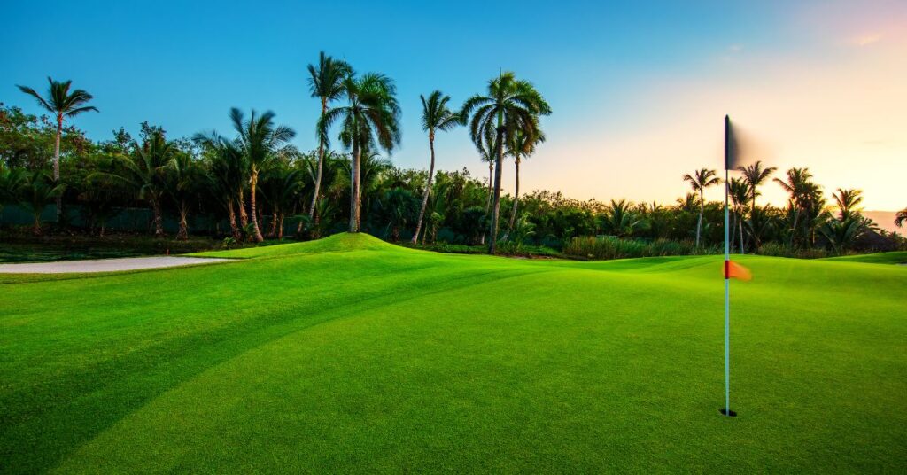 Golf Courses and Parkinson’s Disease: What the JAMA Study Reveals ...
